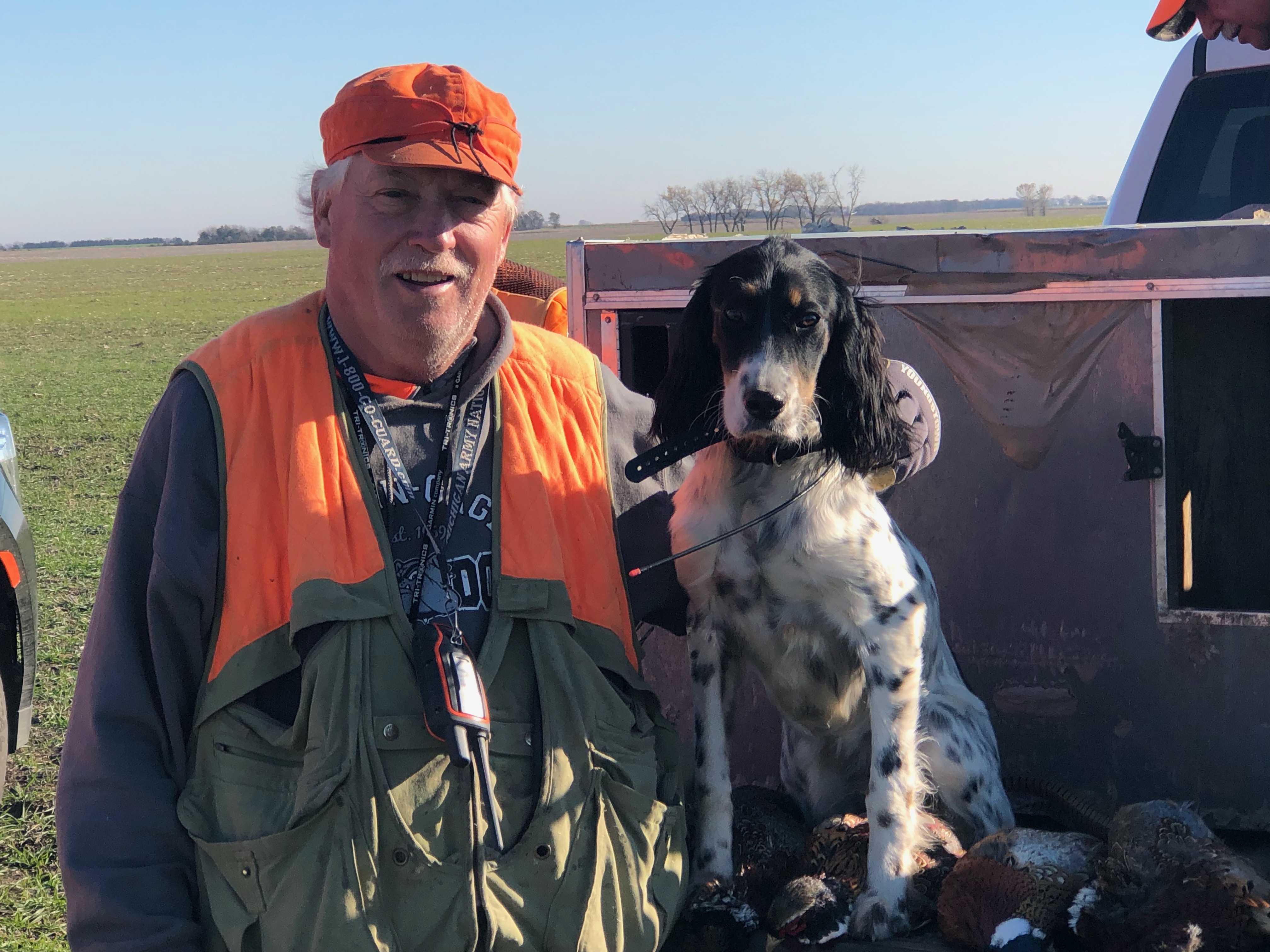 Llewellins Hunting | Gould Gun Dogs